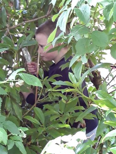 Hayton CE Primary School – Cumbria In Bloom