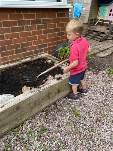 Hayton CE Primary School – Cumbria In Bloom